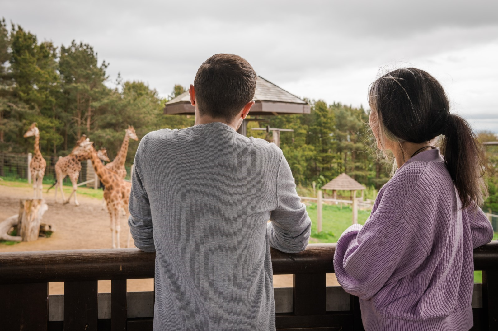 Universal credit discounts to Edinburgh Zoo and Highland Wildlife Park ...